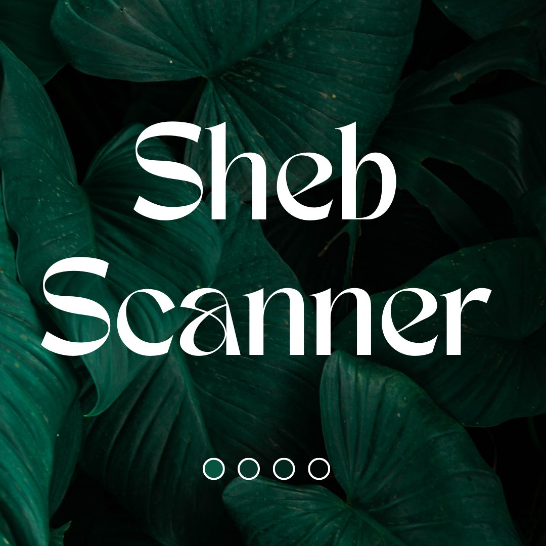 Sheb Scanner - Sheboygan Scanner